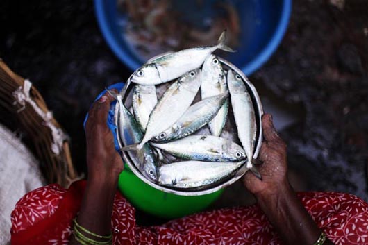 The Source Project: Goa and Karwar