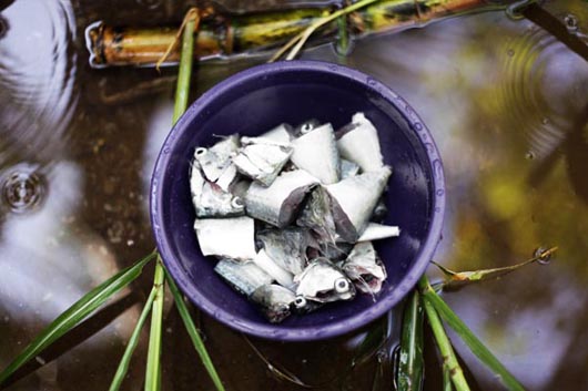 The Source Project: Goa and Karwar