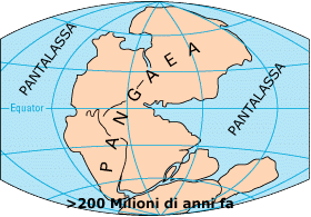 Margarida Pereira - Portfólio de Ciências Naturais: Pangeia e Pantalassa
