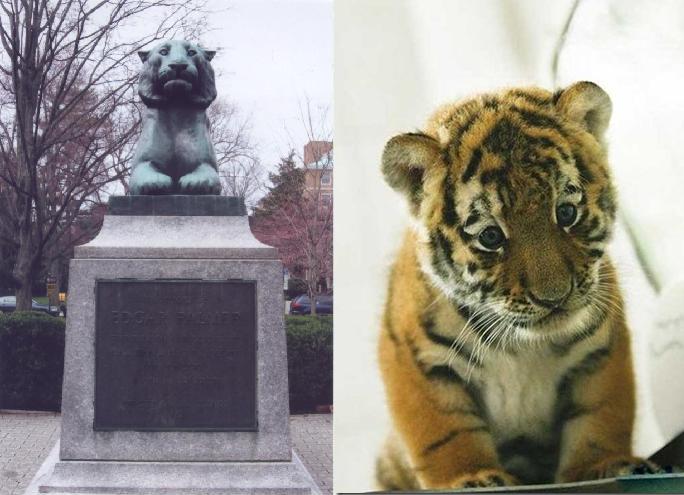 Tiger monument