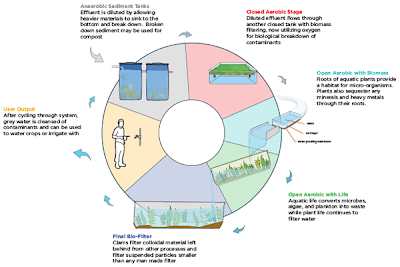 Rain Water Harvesting in Buildings: The Living Machine