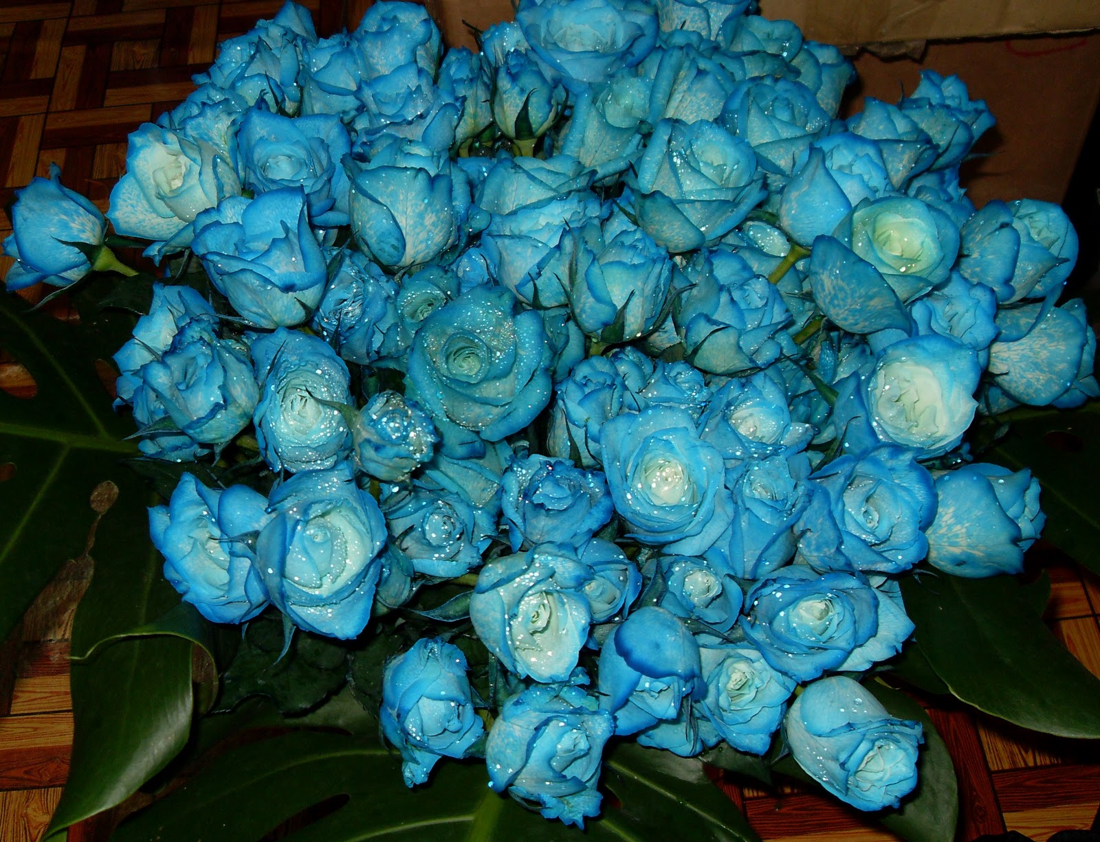 Nurfisza-Florist: Ros Biru to My Sepang Customer