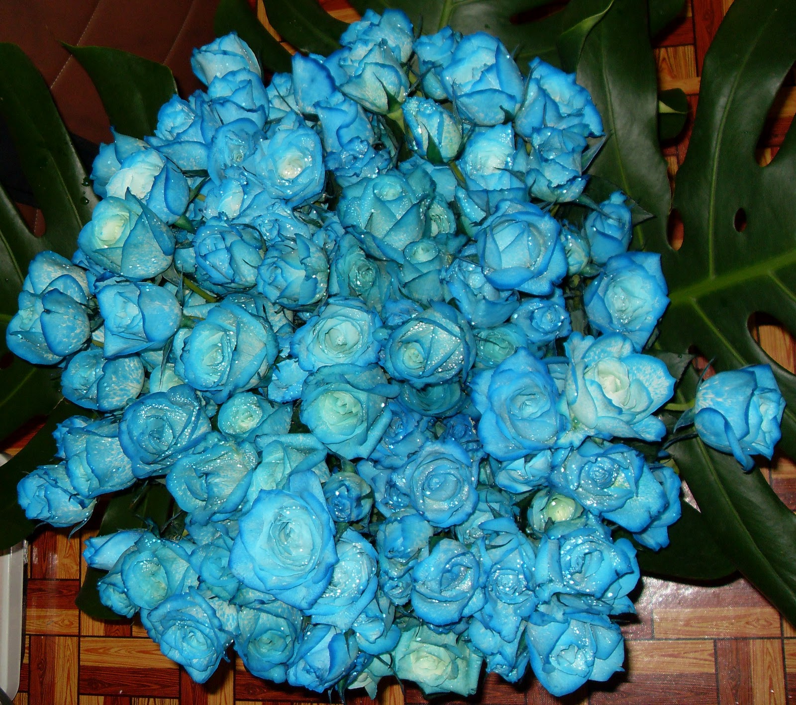 Nurfisza-Florist: Ros Biru to My Sepang Customer