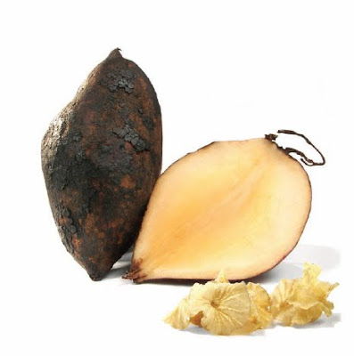 Del Perú su Yacón: Importancia del Yacón