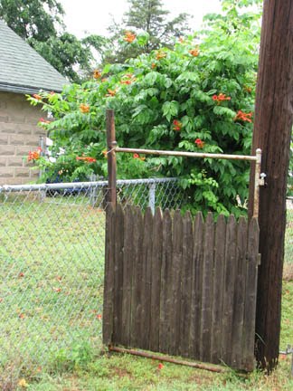 Sunflower Stories: Goodbye Ghetto Fence!