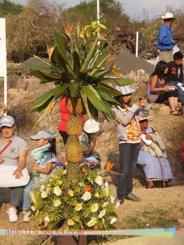 Araró, Michoacán: Entrada del Sr. de Araro 2010 / Entrance of the Lord ...