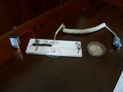 Bio-Objects: Bio-Objects