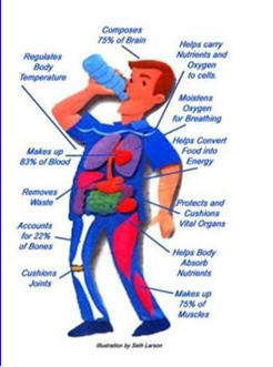 ~ White Pearl ~: Correct Timing to Drink Water