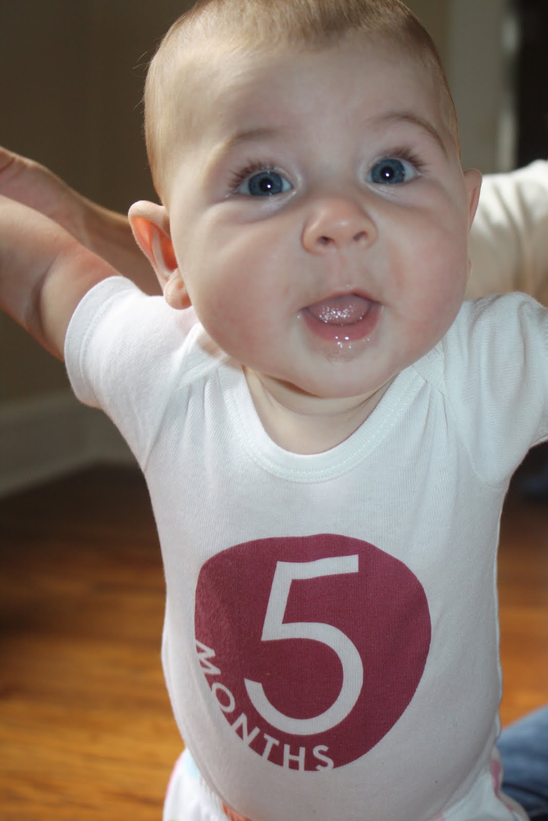 The Evolving Elseners: Five Months Old!