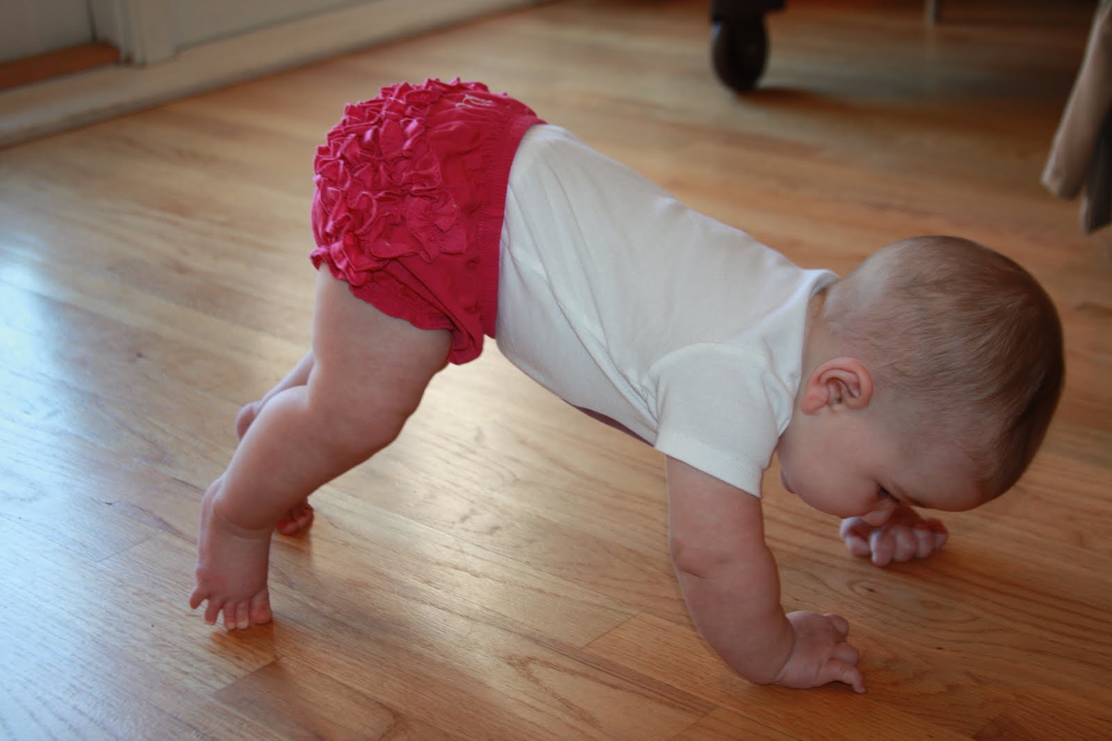 The Evolving Elseners: The Perfect Downward Dog