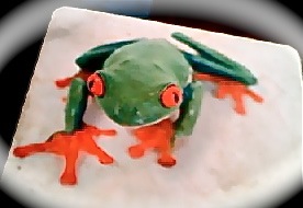 Salty Snaps Shots and the Whatnot: Photo of the Allsop Tree Frog Mouse Pad