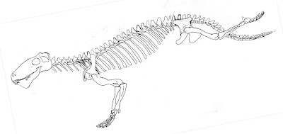 Renaissance Oaf: Lycaenops: Part Two