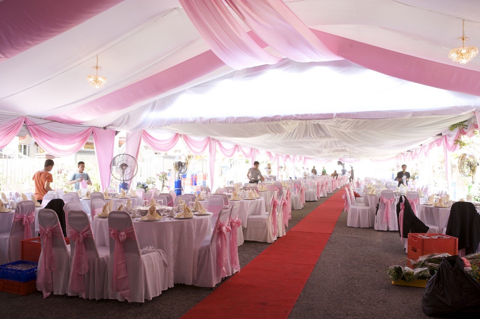 First One Resources: tema-pink putih