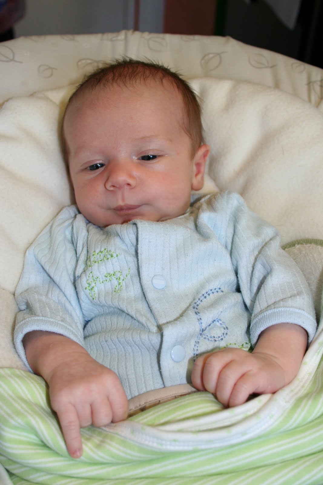 Oikology 101: Happy 3rd Birthday Midget!