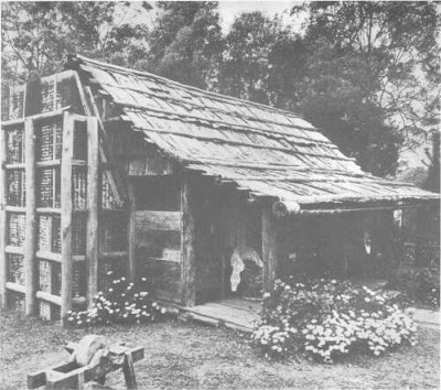 Helsie's Happenings: WHAT'S A WATTLE?