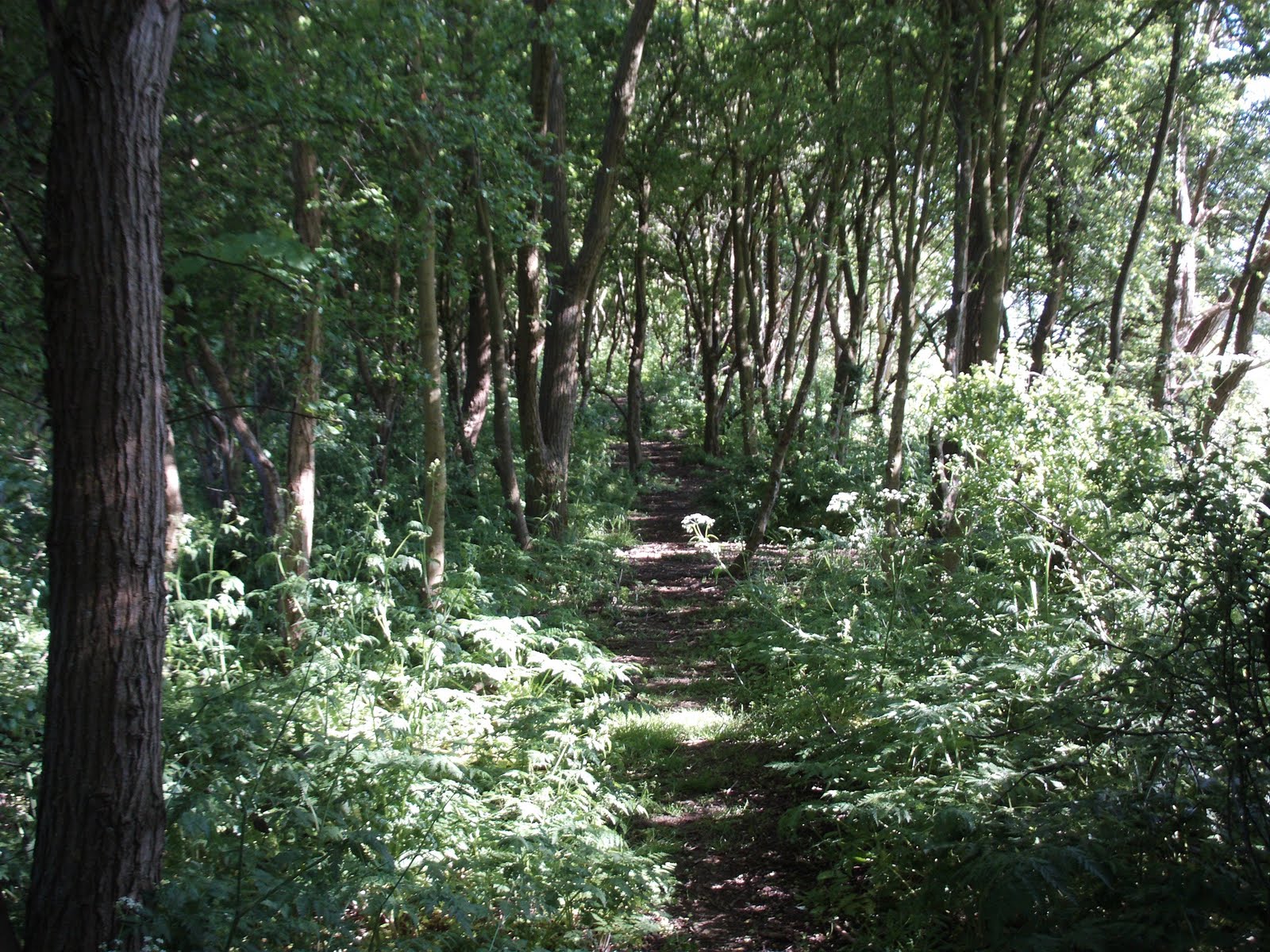 Sam Eyre's Foundation Portfolio