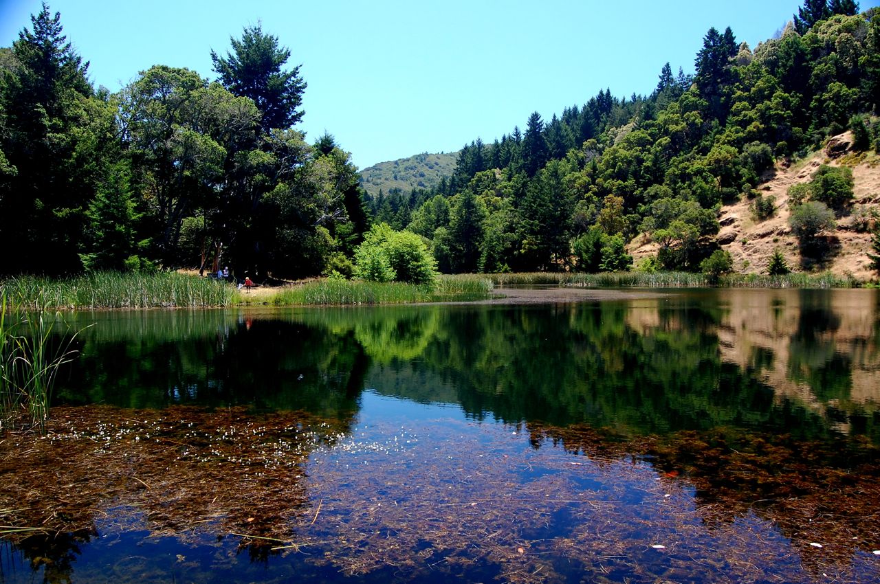 crazy little thing called blog: Lake Lagunitas and Bon Tempe hike