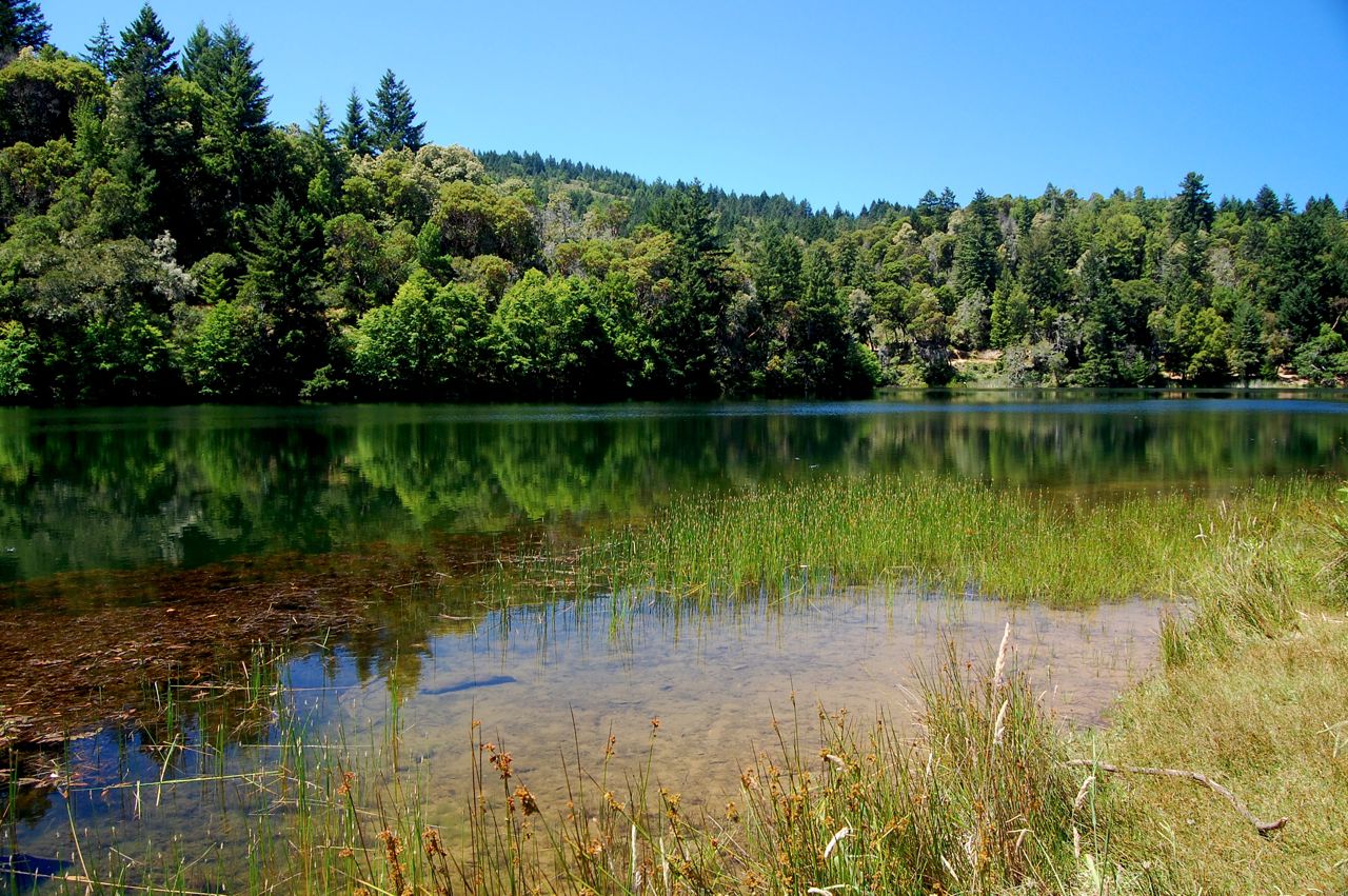 crazy little thing called blog: Lake Lagunitas and Bon Tempe hike