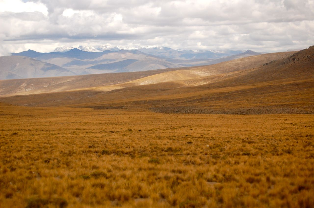 crazy little thing called blog: Peruvians Are the Worst Drivers in the ...