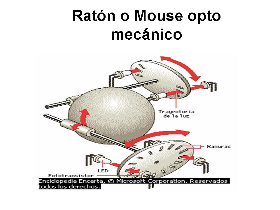 Ratón o Mause