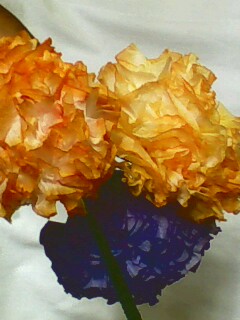 Artesanato D'Ajuda: Cravos de Papel