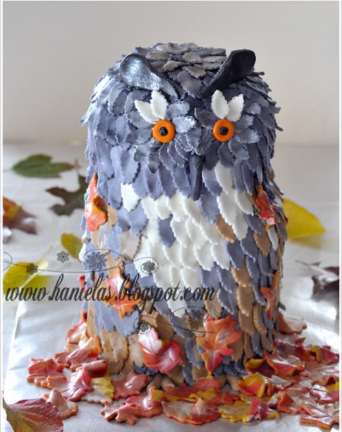 My Owl Barn: Owl Cake Plus 300 Feathers