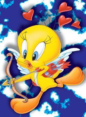 Imagenes piolin - Imagui