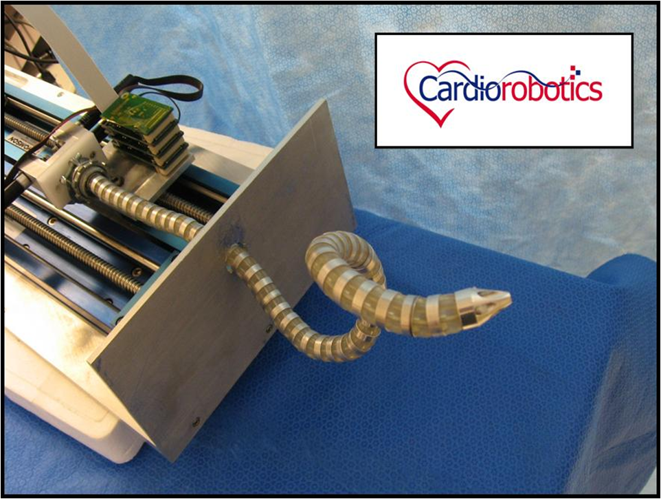 ICRA WS on Snakes, Worms and Catheters