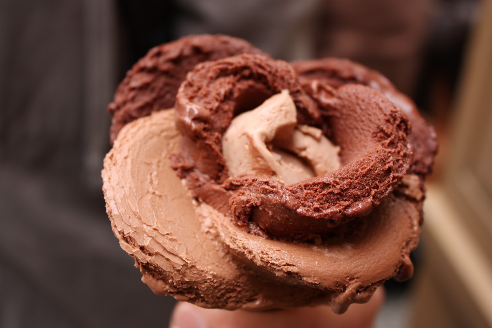 Salt&Spatula: Paris: the land of brasseries, macarons, and crepes