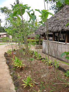 Greg & Linda: Hawaiian Kapa Making Class from Dalani