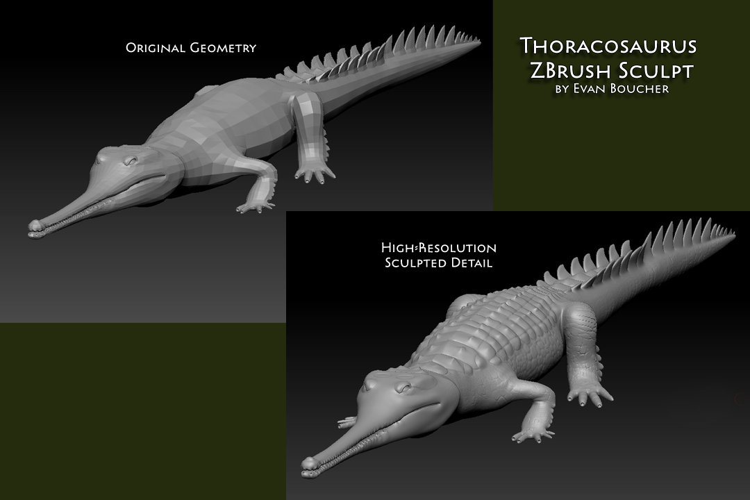 Thoracosaurus - Alchetron, The Free Social Encyclopedia
