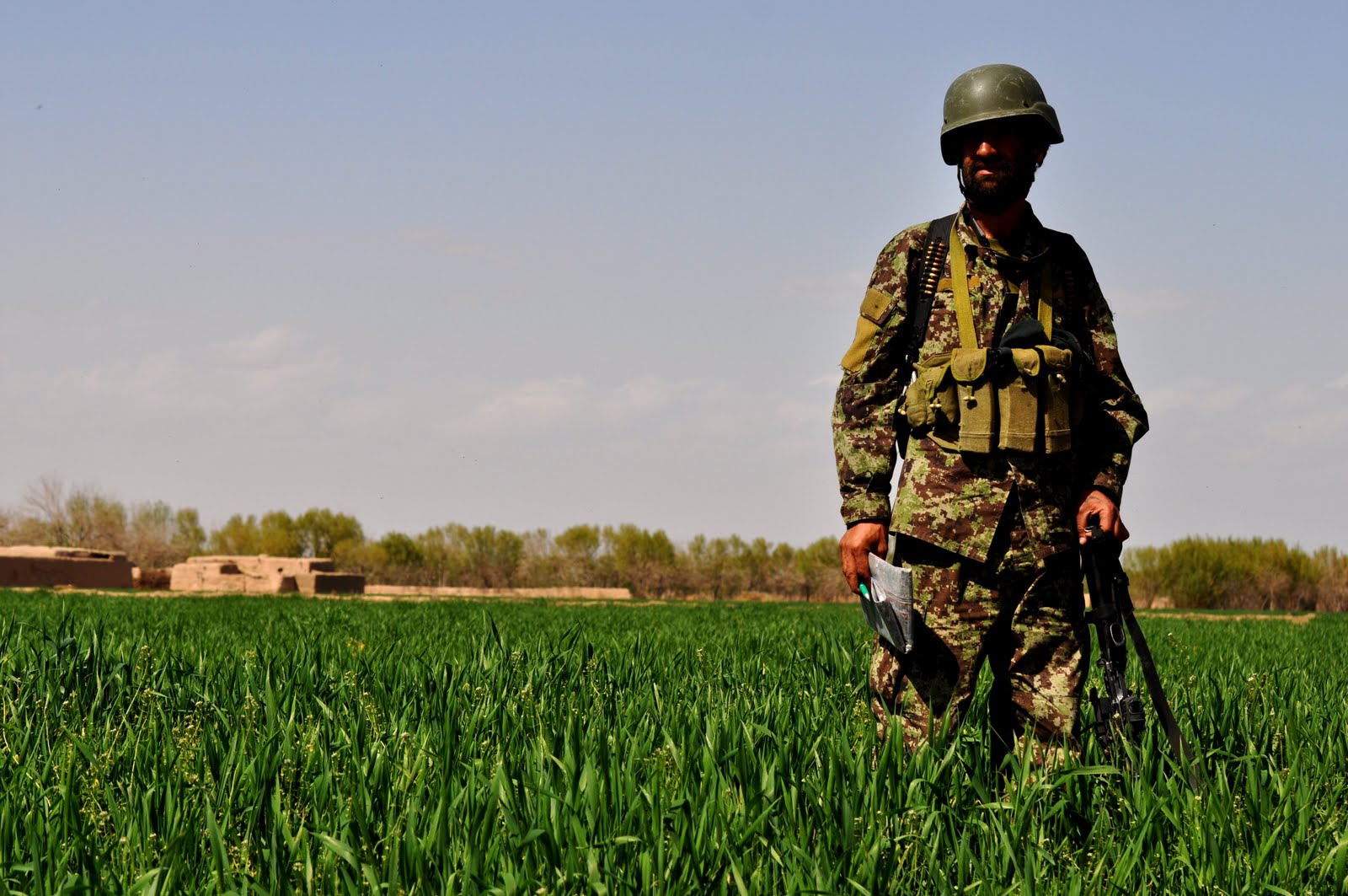 Helmand Blog - Afghanistan: PICTURE of day: Afghan faces