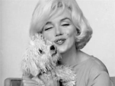 Accesorios para Perros: El Perro Maf y su Amiga Marilyn