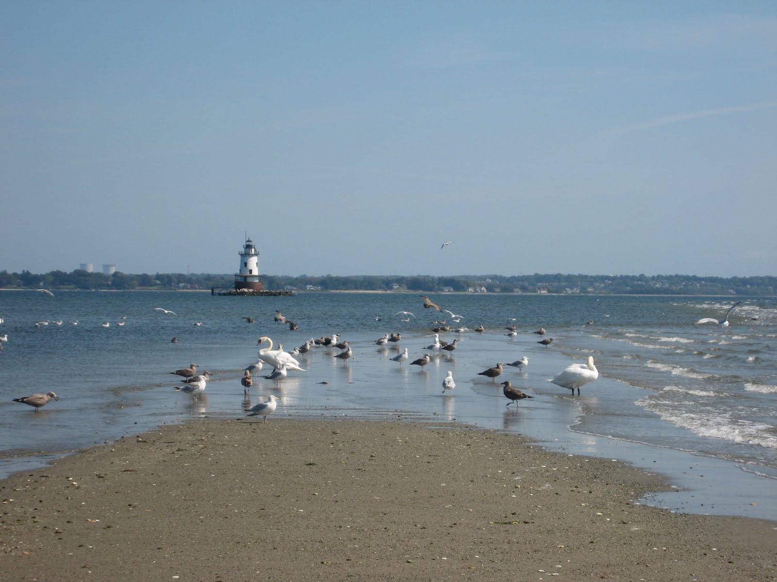 Voyages: Conimicut Point, RI