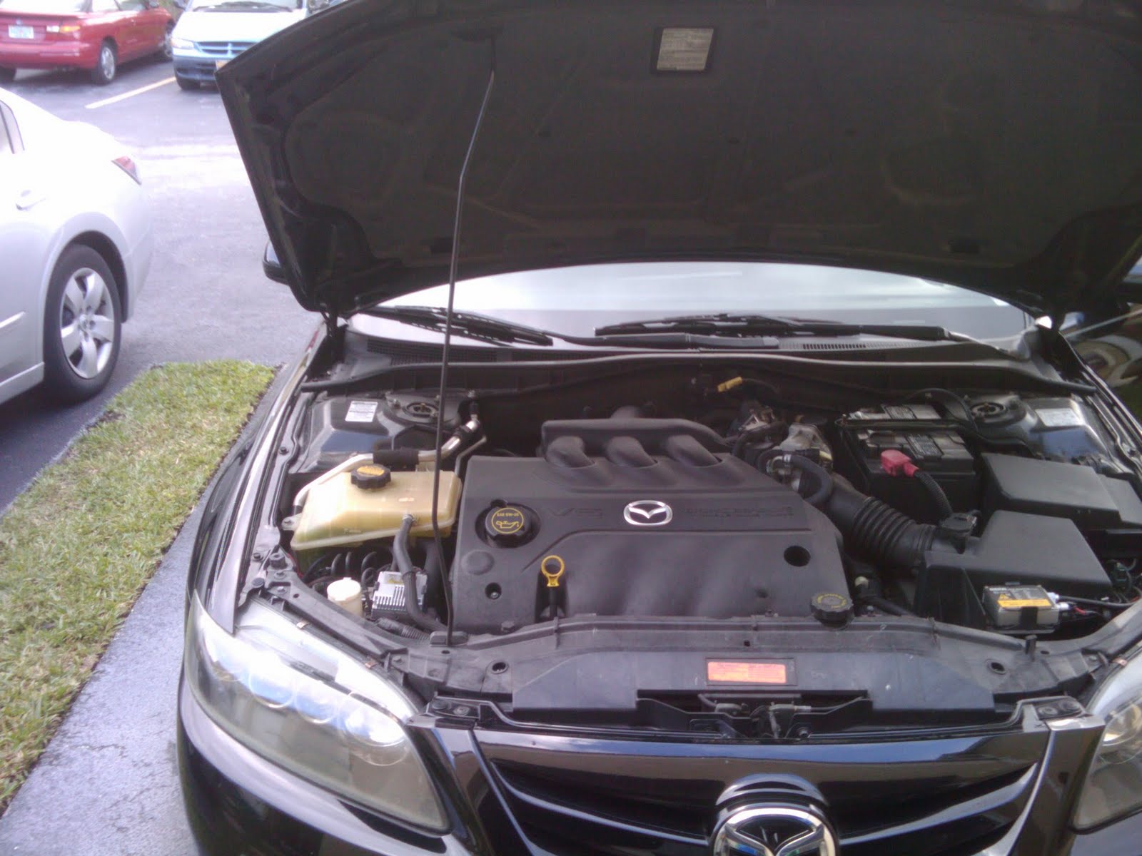 Scissors, Gas Struts and Props - Fly Guy Drives