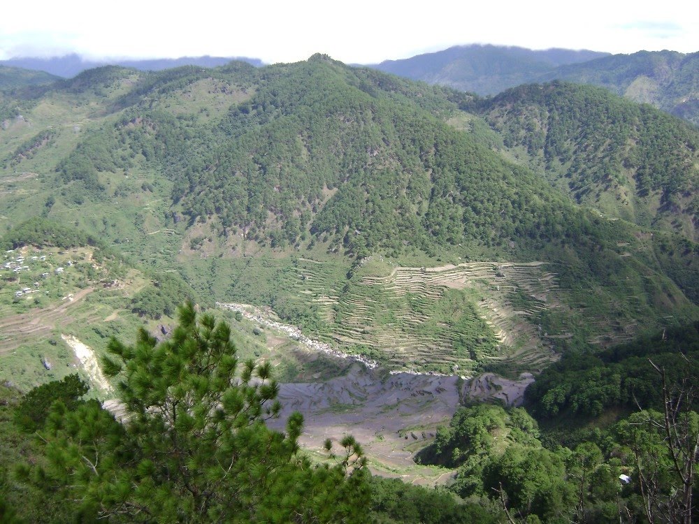 November 2009 | sagada-igorot.com
