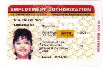 Netizen: Employment Authorization Card: It's Here