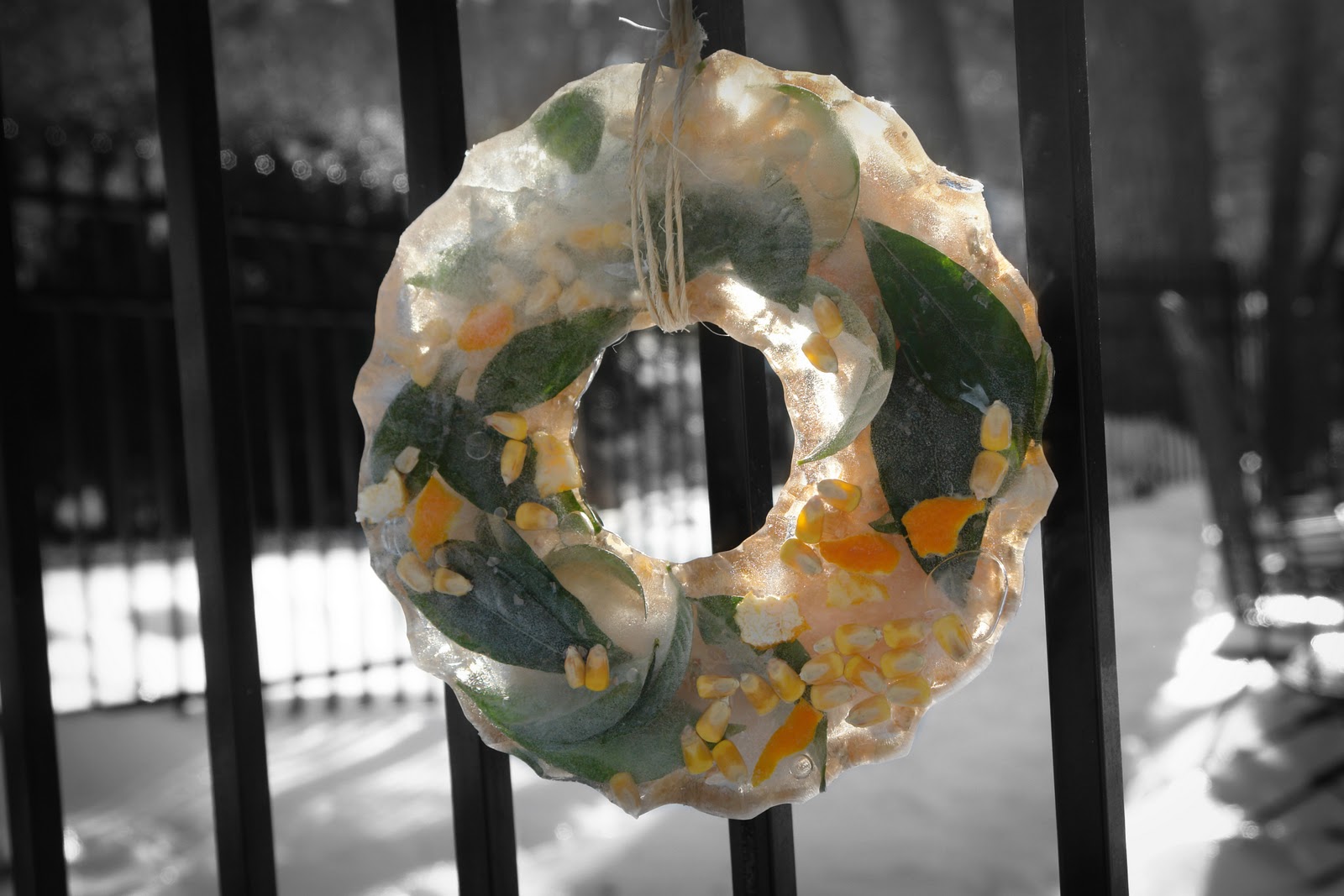 booturtle's show and tell: Ice Wreaths