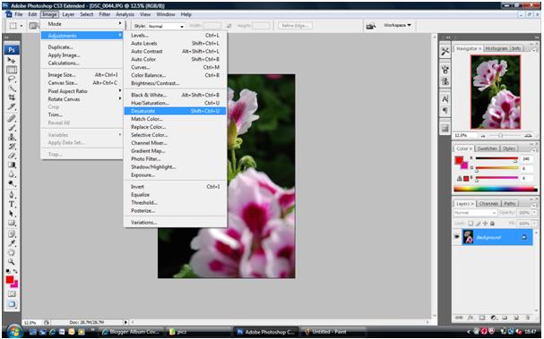 Album Cover: Four Ways To Convert Colour To Monochrome