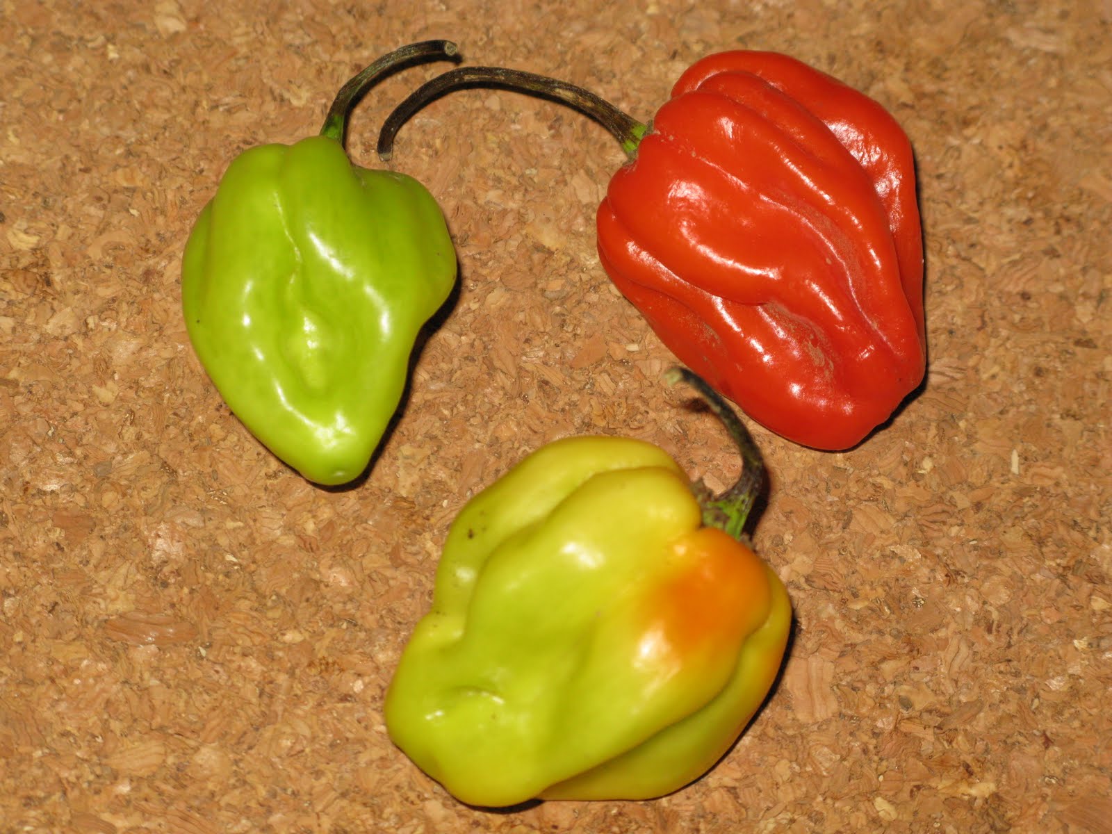 Cocina y Recetas de Venezuela en La Casita de Maribri: AJICEROS