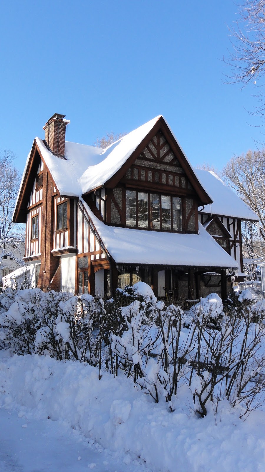ArchiTalk: Snow: architecture's arbiter and advocate