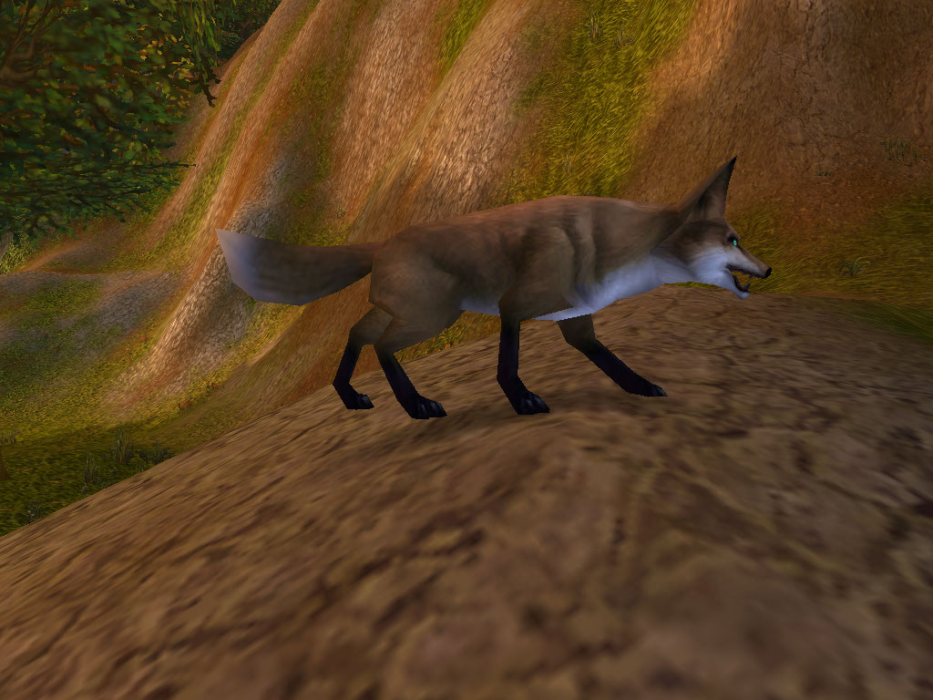 Shadows Wow Guide: Redridge Fox New Creature Cataclysm
