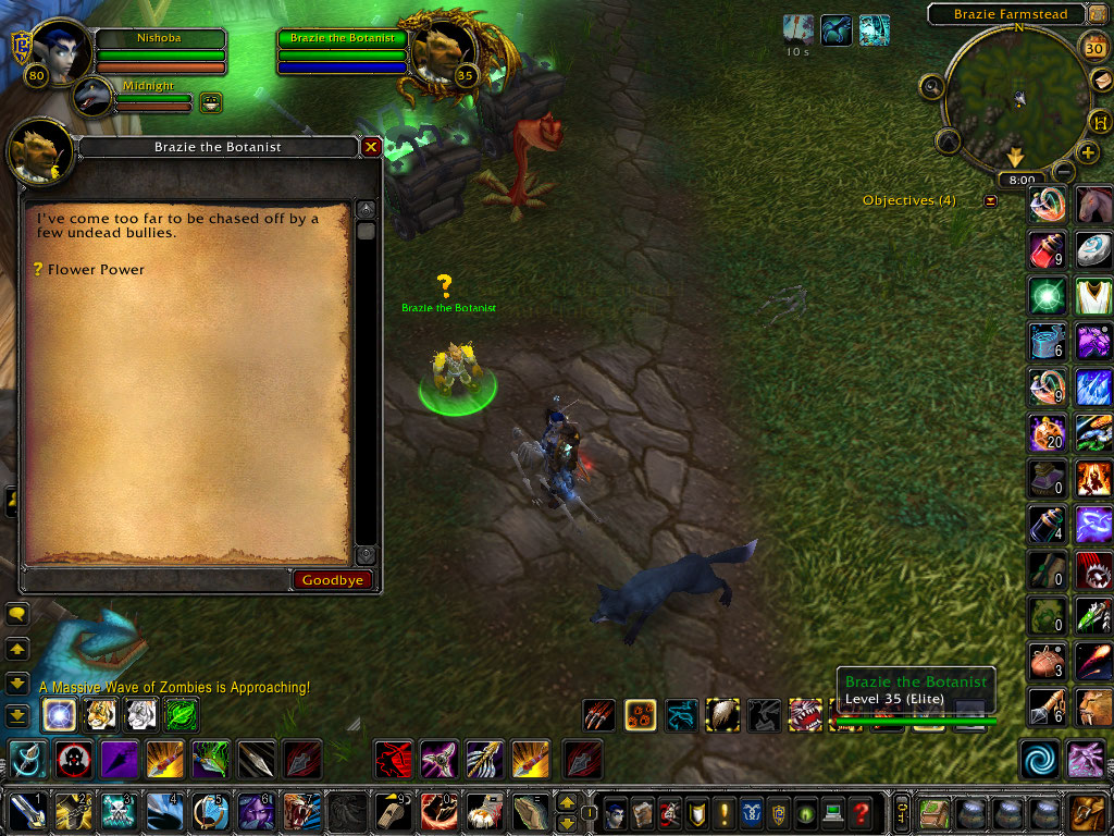 Shadows Wow Guide: The Singing Sunflower Vanity Pet Quest Line