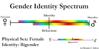 Musings of the Morgie: Gender Identity Classification (In Progress)