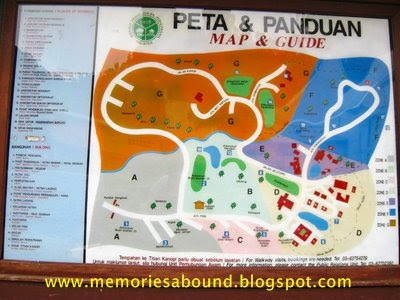 Rachel's Memories: FRIM