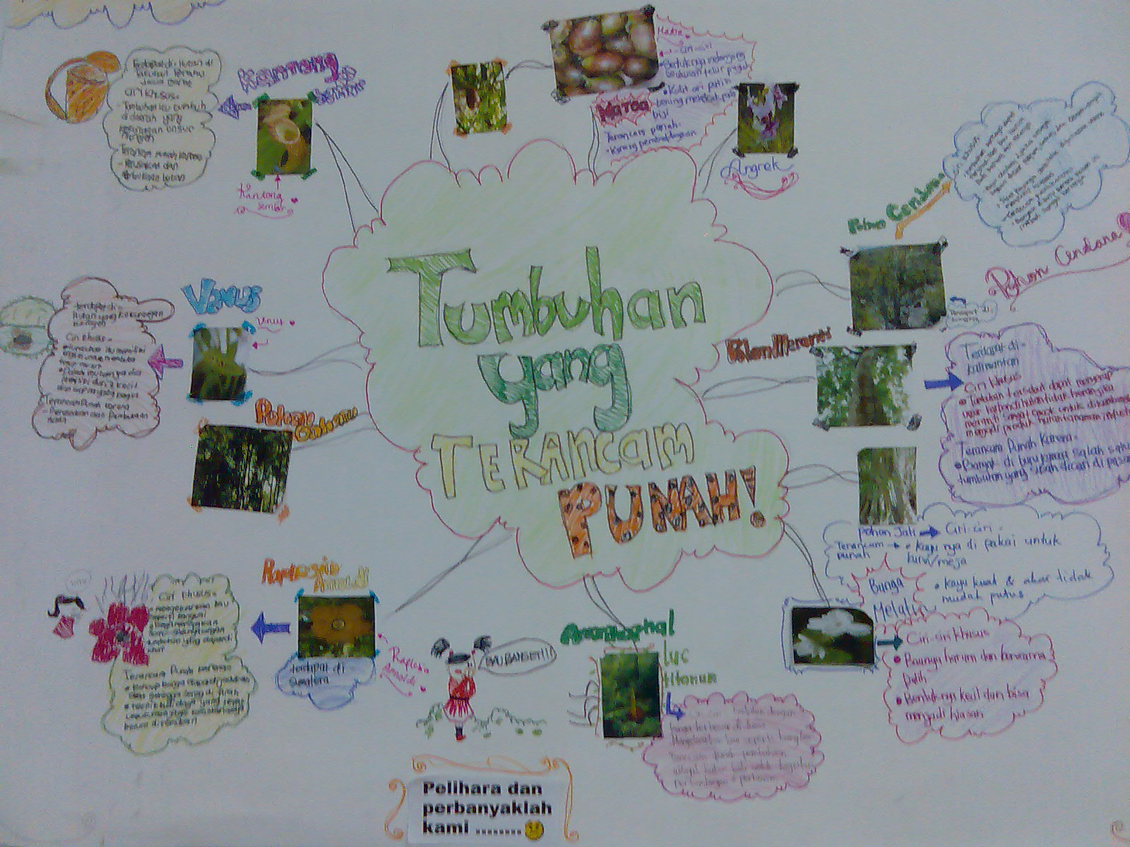 Let's DIAN DIDAKTIKA: Januari 2011