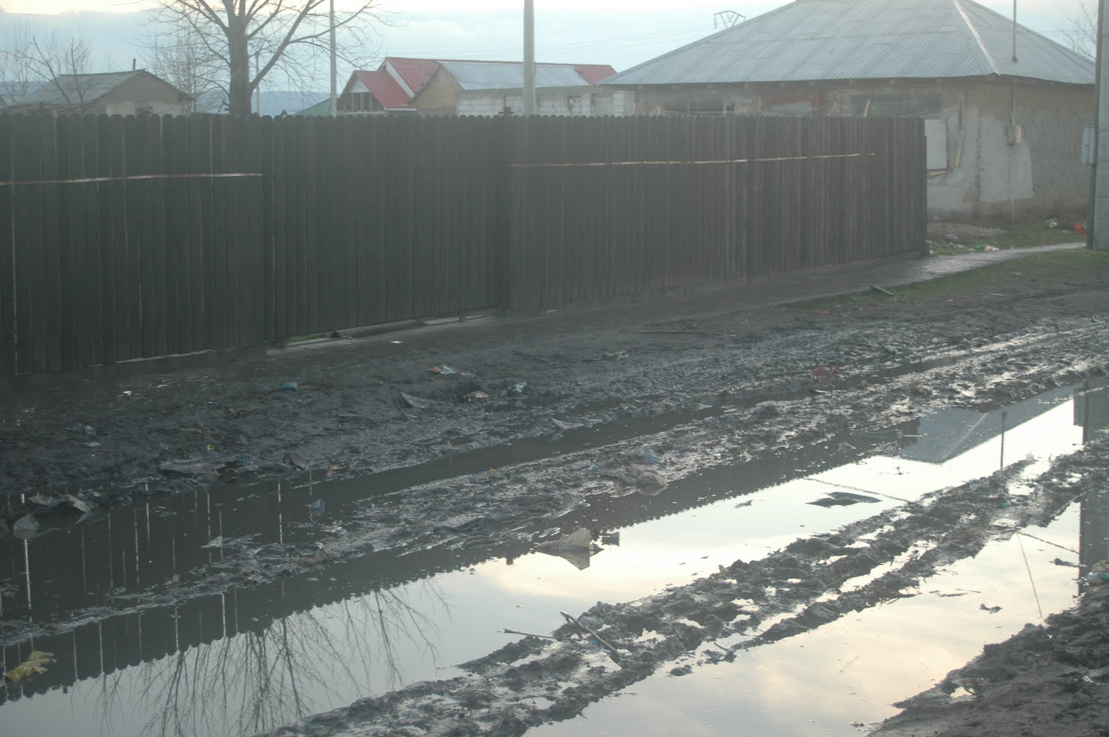 Bucharest Diary News: Zimnicea, un oras din Romania