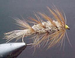 Steve Dobson's Fisherman's Blog: The Carters Bug Salmon Fly