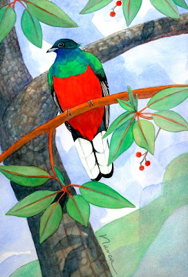 Art and Other Adventures with Narca: Horseshoe Fire Enters Log Canyon