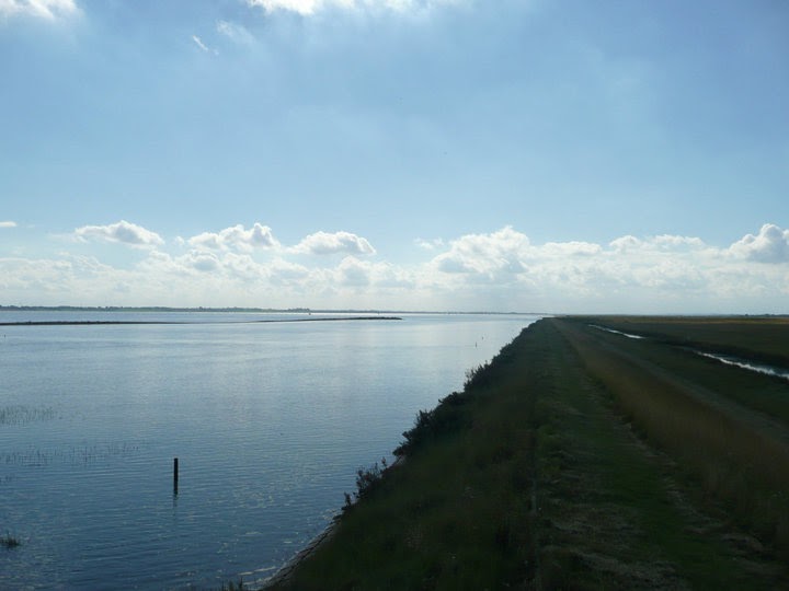 The Essex Coast - Manningtree to Maldon ~ Griffmonsters Great Walks